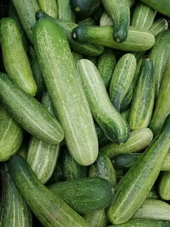 Facts to Know About Cucumbers