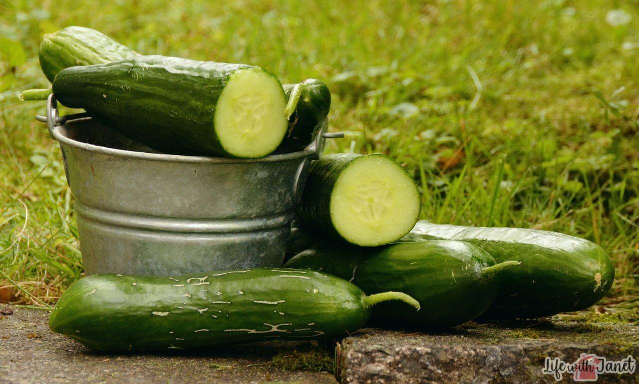 Facts to Know About Cucumbers